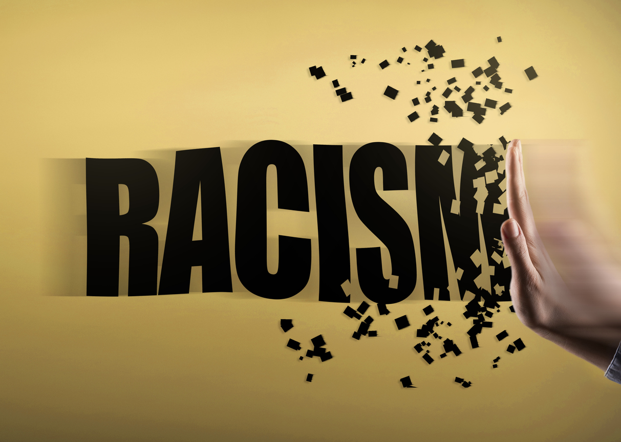 International Day For The Elimination Of Racial Discrimination - Vista ...