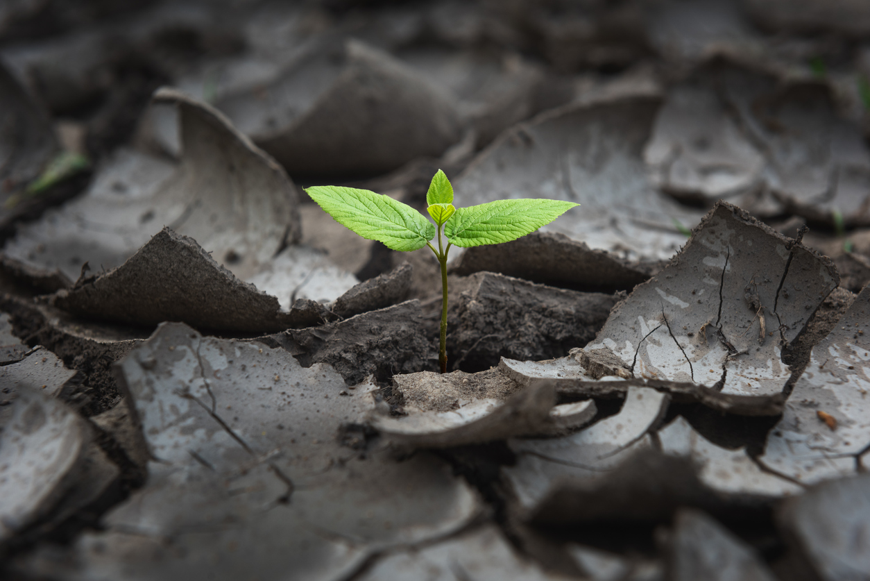 Tragic Optimism - Vista Counseling & Wellness Center | Eugene Portland ...